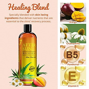 Seven Minerals NEW Recovery After Sun Gel with Aloe Vera - For Skin with Instant Sunburn Relief. Unlike Regular Aftersun Lotion, Ours Is Made From Texas Aloe. With Mango & Chamomile (12 Fl Oz)