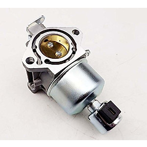 Goodfind68 New Carburetor compatible with Briggs & Stratton 791889 Replaces # 698782, 693194, 499151