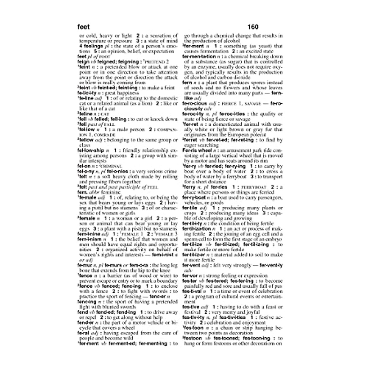 Webster's Dictionary for Students, Sixth Edition, Newest Edition