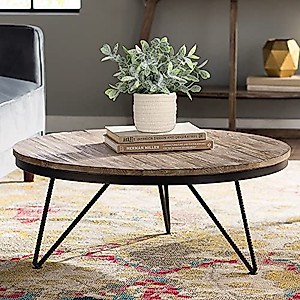 Hopewood Faux Plants, Small Fake Plant for Bathroom, Decorative Artificial Plants for Farmhouse Desk Shelf Decor with A Weave Basket (9.8inch)