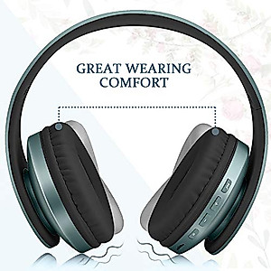 TUINYO Wireless Headphones Over Ear, Bluetooth Headphones with Microphone, Foldable Stereo Wireless Headset- Silver Blue