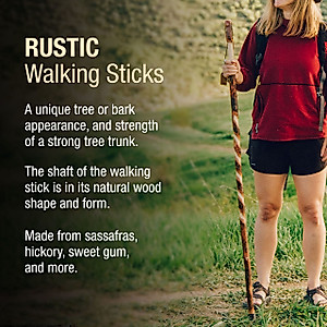 Brazos Rustic Wood Walking Stick, Twisted Hickory, Traditional Style Handle, for Men & Women, Made in the USA, 55"
