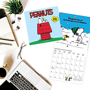 Graphique 2023 Peanuts Wall Calendar | 12” x 12” | Thick Paper | Home & Office Organizer | Large Monthly Grid | 3 Languages & Marked Holidays | 4 Month Preview Page for 2024