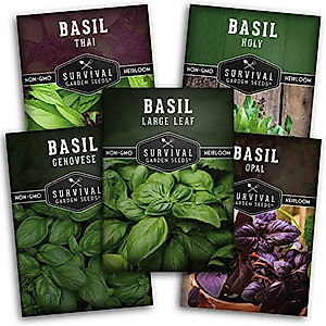 Survival Garden Seeds Basil Collection Seed Vault - Holy Basil, Genovese Basil, Large Leaf Basil, Opal Basil, and Thai Basil - Non-GMO Heirloom Seeds for Planting Delicious Herbs