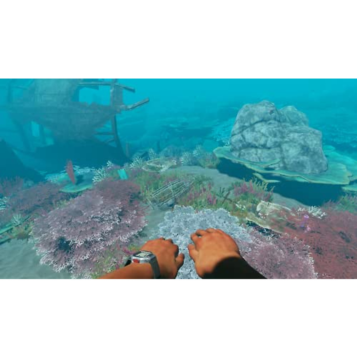 Stranded Deep (Nintendo Switch)