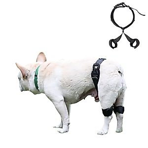 Garden Miller Adjustable Dog Knee Brace,Dog ACL Hind Leg Brace,Support with Cruciate Ligament Injury, Joint Pain and Muscle Sore_S
