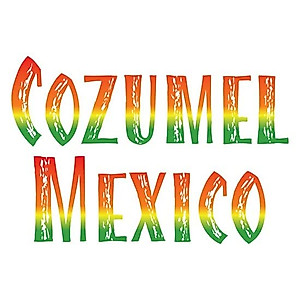 CafePress Cozumel Mexico Mug Ceramic Coffee Mug, Tea Cup 11 oz