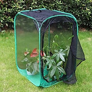 RESTCLOUD 36" Large Monarch Butterfly Habitat, Giant Collapsible Insect Mesh Cage Terrarium Pop-up 24 x 24 x 36 Inches