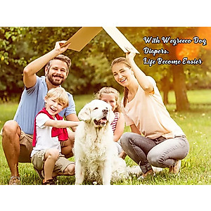 wegreeco Belly Bands for Male Dogs, (4 Pack) of Washable Male Dog Diapers, Super Absorbent Dog Belly Band (Green, Brown, Black, Grey, X-Large)