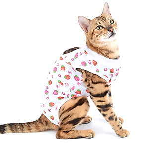 SELMAI Surgical Suit for Cats Surgical Recovery Suit for Dogs Small After Surgery Wear Abdominal Wound Protector Post Operative Dog Shirt Romper Cone E-Collar Alternative Prevent Licking Red L