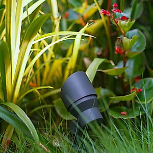 VENUS MANUFACTURING 6 Pack Low Voltage Landscape Spotlight 3W LED Outdoor Landscape Lighting Kits 200 Lumen Black Waterproof Flood Lights 12V 3000K Warm White Metal Tree Lights for Garden & Yard