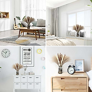 YUFFLYOW 65 pcs Natural Dried Pampas Grass,17In Pampas Grass Decor Tall Fluffy for Flower Arrangements Boho Home Decor,Pampas Grass Plants for Home Garden Wedding Party Decor, PG24