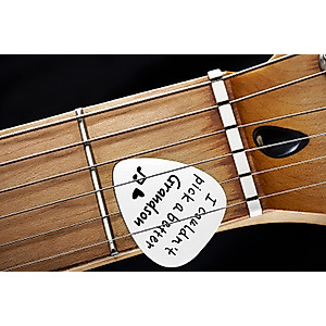 LRUIOMVE Gifts for Grandson Funny Stainless Steel Guitar Picks with Cowhide Leather Case - I Couldn't Pick a Better Grandson, for Grandson Musician Guitar Player Family Birthday Christmas Gift
