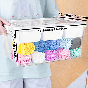 TERGOO 17QT Multipurpose Plastic Storage Organizer Box with Removable Tray, Stackable Craft Organizers and Storage Bins with Lid, Clear Art Storage Container for Organizing Playdoh, Crayon (Clear)