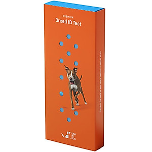 Dna My Dog Premium Test – Premium Breed ID Over 300 Breeds Plus Genetic Age Test, Wolf/Coyote DNA and Mixed Breed Identification, Non-Invasive Cheek Swab for Puppies to Adult Dogs