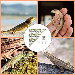 balacoo 2 Sets of Lizard Hammock Bearded Dragon Reptile Bed with Pillow Reptile Lounger Hammock Triangular Haning Net Hammock Swing Hanging Bed for Bearded Dragon Leopard Gecko Rat