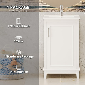 20" Bathroom Vanity with Sink, Bathroom Vanity Cabinet with Soft Closing Door, Bathroom Storge Cabinet, Free Standing Single Basin Vanity Set for Bathroom