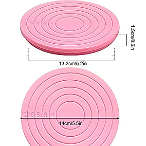 16PCS Cookie Decorating Kit Supplies Including 1 Acrylic Cookie Turntable, 6 Cookie Scribe Needle, 6 Cookie Decoration Brushes, 2 Tweezers and 1 Anti-Slip Silicone Mat (A)