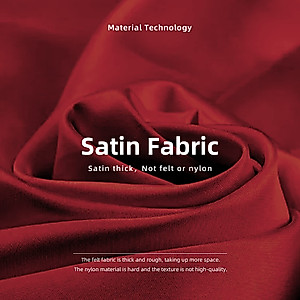 DGAZ Purse Organizer Insert For Chanel CF Bags，Silk Bag Organizer，Luxury Handbag & Tote Shaper(Wine Red,Jumbo 30)