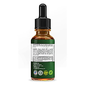 (3 Pack) Liquid Chlorophyll Drops Maximum Strength 6000MG Fast Absorbing All Natural Green Concentrate Supplement Loaded with Antioxidants Minerals Multivitamins 2 FL Oz