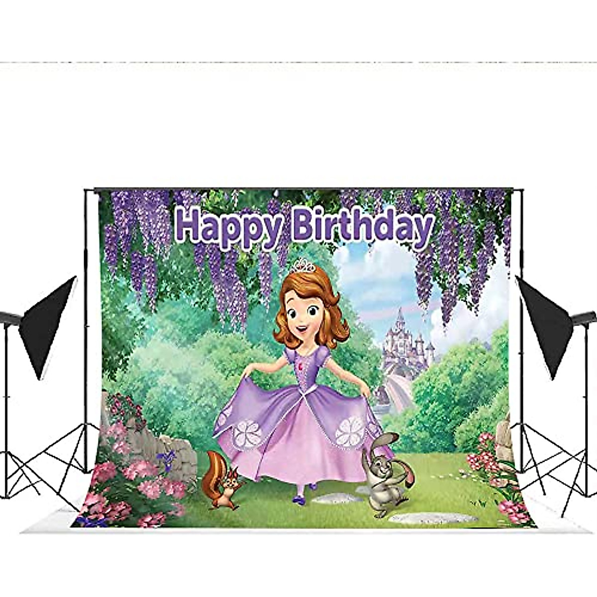 Dawei Sofia The First Backdrop | Birthday Party Background Supplies | Banner Decorations | Photography Background | Baby Shower | (5X3ft)