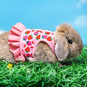 Rabbit Harness and Leash for Walking Escape Proof - Cute Strawberry Pattern Pink Mesh Breathable Bunny Vest Harness Outdoor Camping Hiking Training - Also Suit for Ferret Kitten Puppy Small Animals