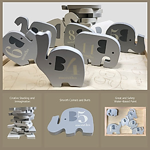 HanMiaMia Wooden Elephant Toys 12 PCS Stacking Toddler Toy Montessori Balance Activities Game for Baby