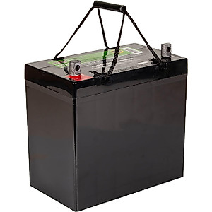 Interstate Batteries 12V 55Ah Deep Cycle Mobility Battery Group 22NF VRLA SLA AGM (UT Terminal) Rechargeable Replacement for ATVs, Scooters, Wheelchairs, Trolling Motors (DCM0055U)