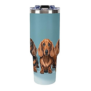 FZQVSGW Three Dachshunds 40 Oz Tumbler with Handle And Straw Stainless Steel Vacuum Insulated Tumblers Reusable Keep Drinks Cold Coffee Cup Holder Friendly Gifts for Women Men Car Gym Travel