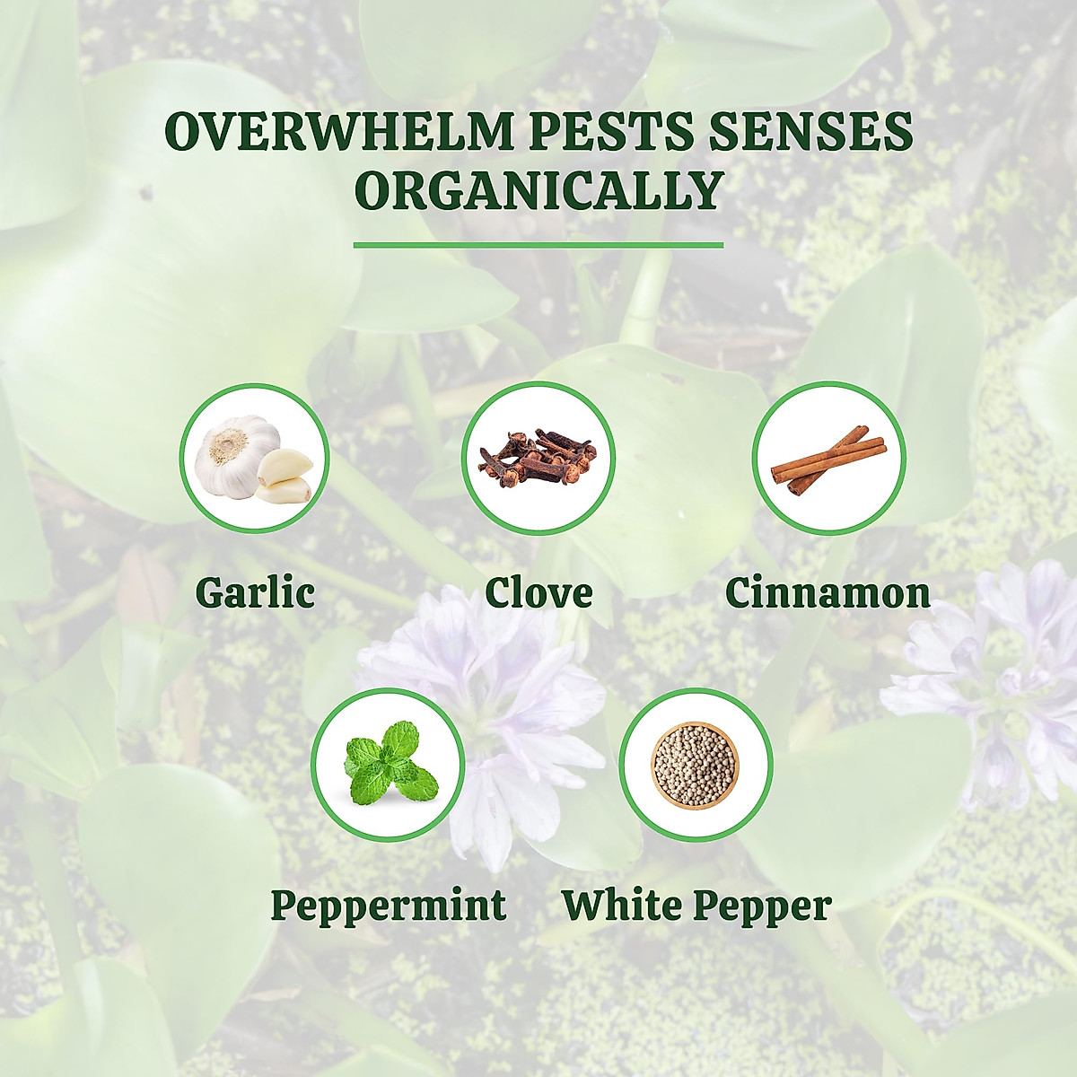 Pride Lands Defense - Organic Pest Control for Indoor & Outdoor Plants/Insect Repellent/Eliminate Mites, Gnats, Thrips, & Aphids/Safe for Pets & Children/Vegetable & Flowering Gardens, 5lb