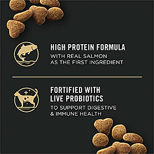 Purina Pro Plan Indoor Care Hairball Control Adult Salmon & Rice Dry Cat Food & Wet Cat Food (Packaging May Vary)