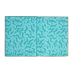 Shakespeare's Stories