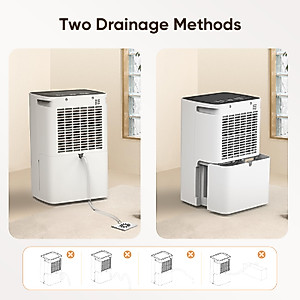 2500 Sq. Ft 30 Pint Dehumidifier, Dehumidifiers for Home Basement with Drain Hose, COLAZE Dehumidifiers for Large Room with Auto or Manual Drain, 24 Hours Timer, 0.58 Gallon Water Tank, Auto Defrost, Overflow Protection