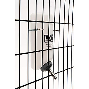 Lixit Wide Mouth Water Bottles for Large and Small Dogs (32oz Small Dog, White)