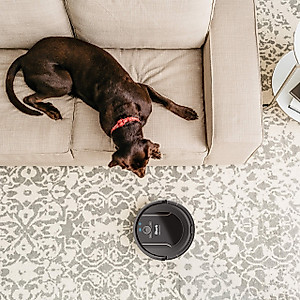 SHARK ION Robot Vacuum R85 WiFi-Connected with Powerful Suction, XL Dust Bin, Self-Cleaning Brushroll and Voice Control with Alexa or Google Assistant (RV850)