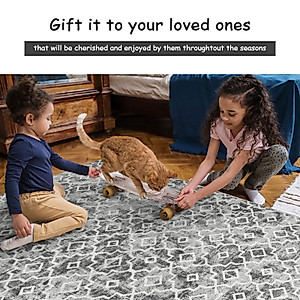 Moynesa Washable Area Rug- 3x5 Moroccan Entryway Throw Rug Non-Slip Kitchen Carpet Runner Modern Geometric Faux Wool Distressed Accent Mat Soft Floor Rugs for Living Room Bedroom Dining