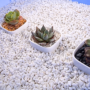 Anothera 6mm-8mm Succulent and Cactus Bonsai DIY Rocks, White Onyx, Gravel for Terrarium, Fairy Gardening, Top Dressing （3LB）