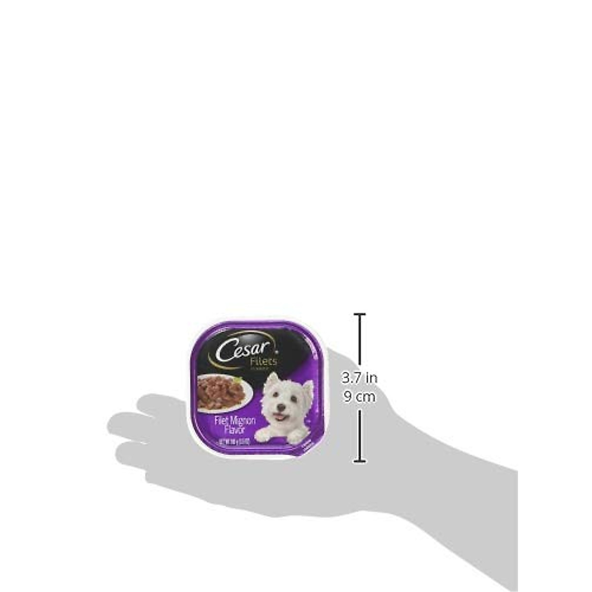 CESAR Adult Soft Wet Dog Food Filets in Gravy Filet Mignon Flavor, (24) 3.5 oz. Trays