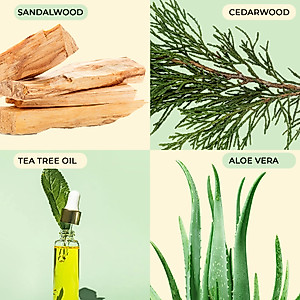 Body Prescriptions Men’s Exfoliating Body Scrub – Ultimate Skin Cleansing Wash in Jar with Twist-Top Lid, For All Skin Types, 21 Ounce (Pack of 4), Combo Pack