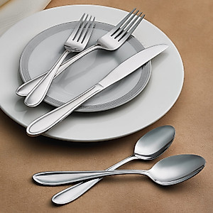 Hampton Forge Lincoln 46 Piece Set with Caddy, 5.80 LB, Metallic