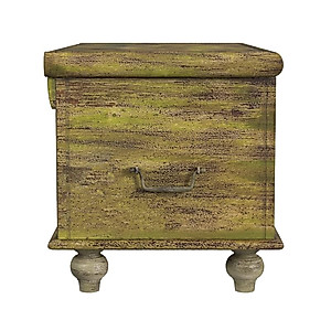 Beaumont Lane Rustic Mango Wood Trunk Coffee Table in Oak Brown