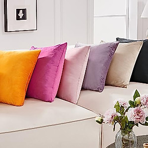 Deconovo Decorative Velvet Throw Pillow Covers for Couch 22x22 in Set of 2, Soft Square Black Cushion Cases for Sofa Living Room Bedroom Home Decor