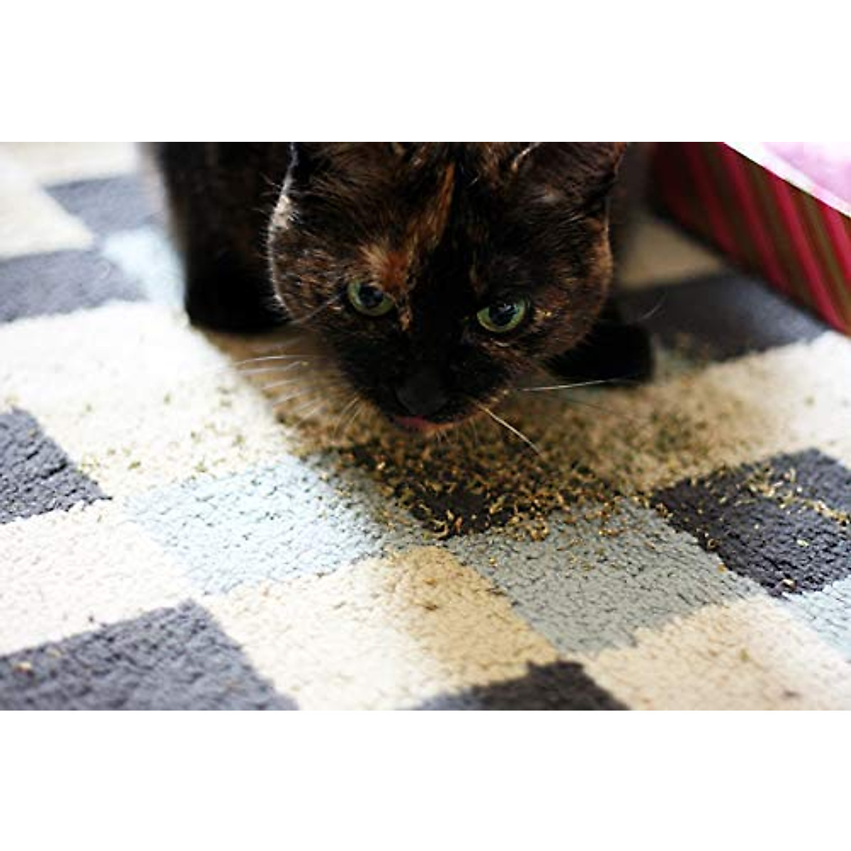 Meowijuana® Meowi-Waui - Primo Kitty Weed - Large Bottle