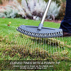 Colwelt Thatch Rake -24 Steel Tines, Dethatching Rake with 54’’ Lightweight Stainless Steel Handle, Yard Dethatcher Rake for Lawn(Pine Needles, Dead Grass, Thatch, Leaves, Mulch)