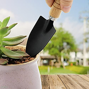 Hand Shovel for Gardening Trowel Garden Tool - 3Pcs Gardening Set of Tools Small Garden Rake Ergonomic Garden Hand Tools Wood Handle Gardening Tool 3 Piece - Gardening Tools Heavy Duty Garden Tool Set