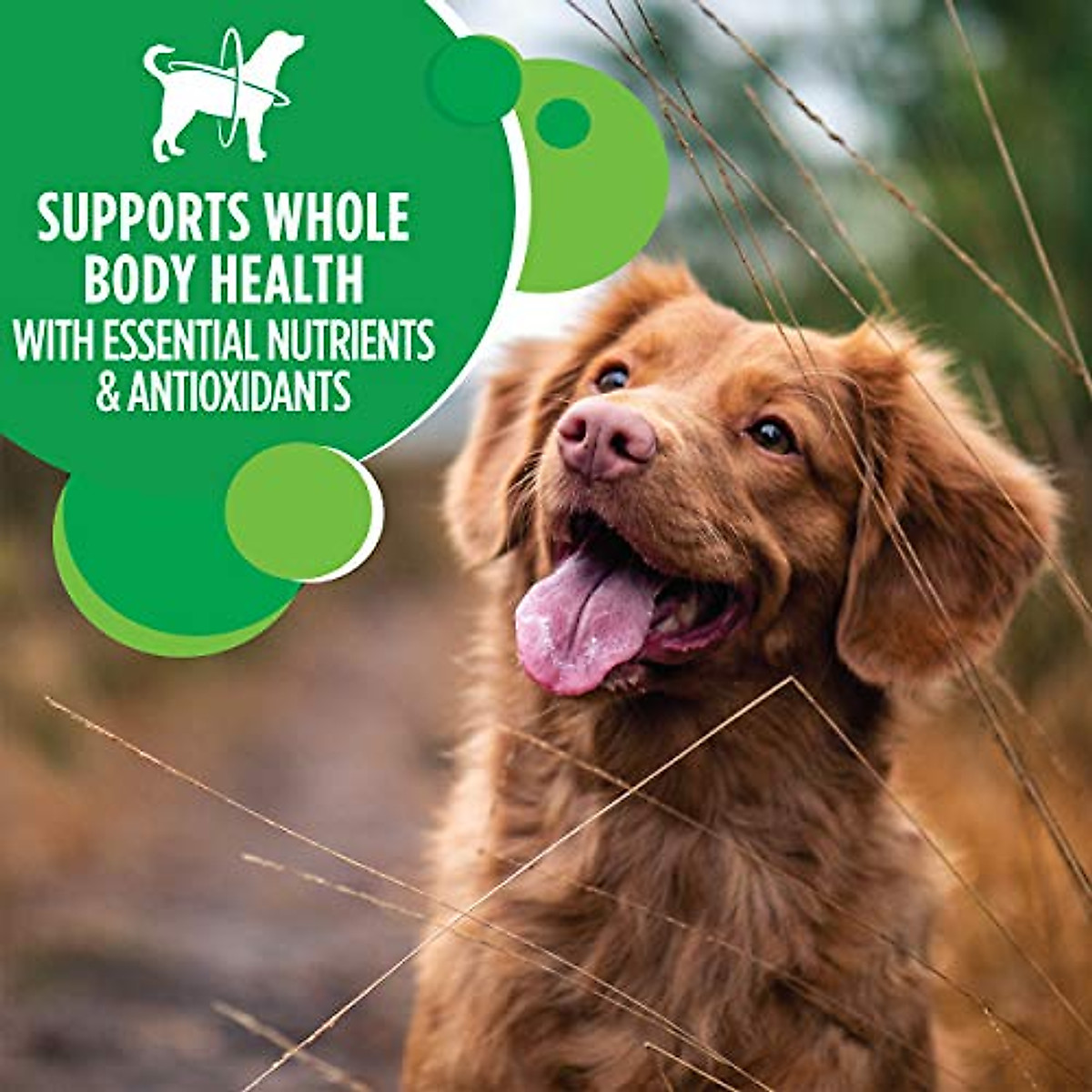 IAMS Adult Minichunks Small Kibble High Protein Dry Dog Food with Real Chicken, 38.5 lb. Bag