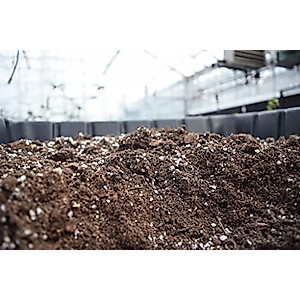 Natural Horticultural Perlite (1 Quart)