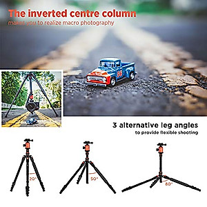 GEEKOTO 77’’ Tripod, Camera Tripod for DSLR, Compact Aluminum Tripod with 360 Degree Ball Head and 8kgs Load for Travel and Work