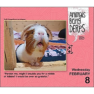 Animals Being Derps 2023 Day-to-Day Calendar: The Internet's Funniest Animals at Their Goofiest