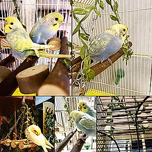 kathson Wood Bird Swing Toys Natural Parrot Perch Wooden Stand Platform Parakeet Paw Grinding Stick Cage Accessories Exercise Toy for Cockatiels Budgies Lovebirds Conures